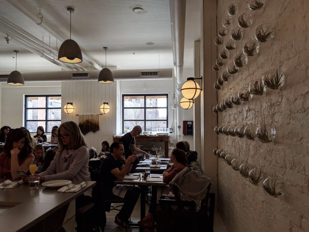 Eden in Chicago, A Doughnut Haven